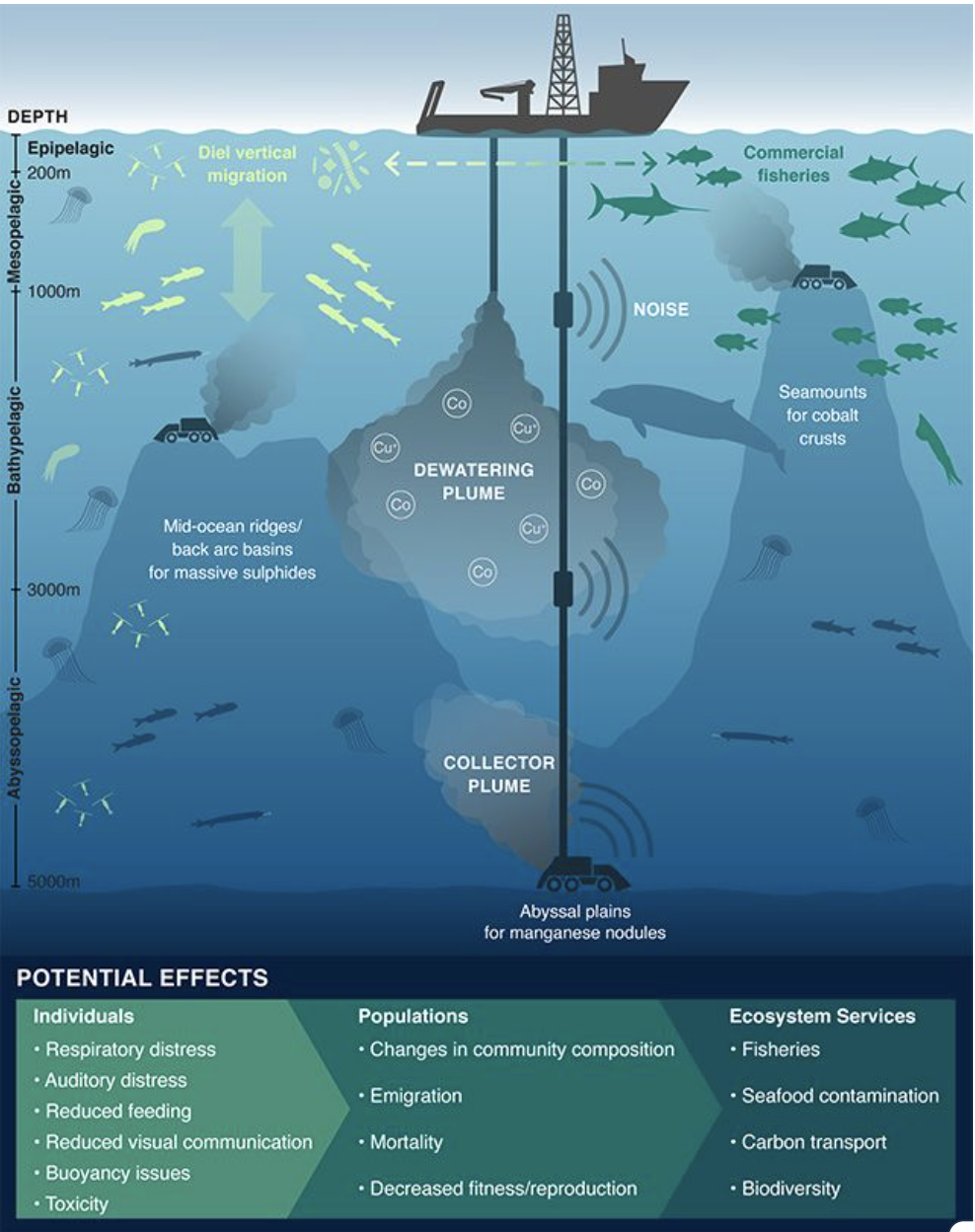 Deep Sea Mining Threats – Santa Cruz Climate Action Network